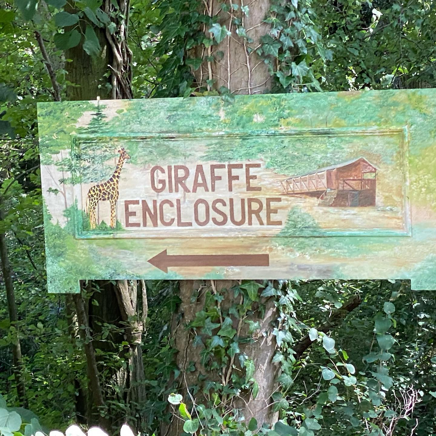 Giraffe Enclosure – Thompson Hall Retreat